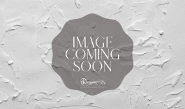 Hamid Abbasi - Professional Brush Set